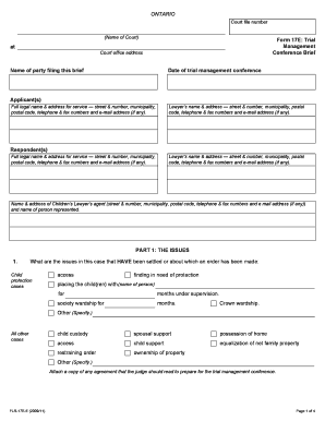 Fillable Online Form 17E: Trial Management Conference Brief - Ontario ...