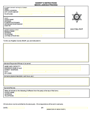 Fillable Online MISCELLANEOUS PROCESS Fax Email Print - pdfFiller