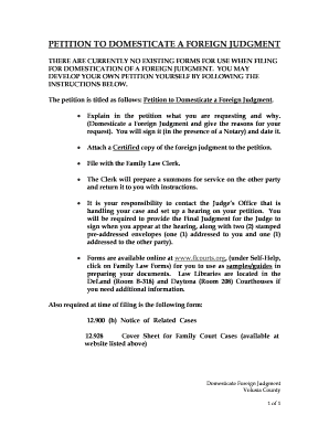 Fillable Online Petition to Domesticate Foreign Judgment Instructions ...