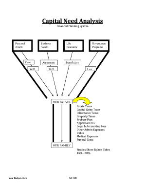 Fillable Online Capital Need Analysis Fax Email Print - pdfFiller