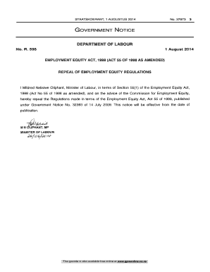 Employment Equity Regulations - Fill Online, Printable, Fillable, Blank ...