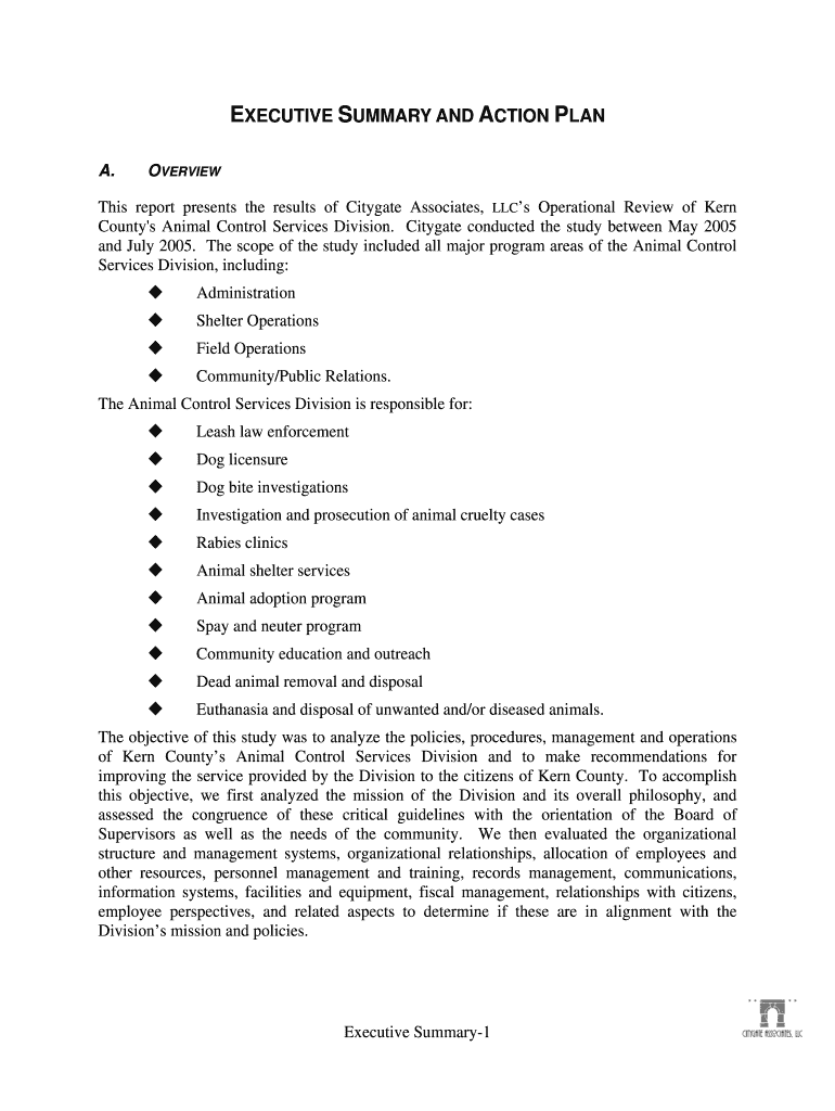 Fillable Online EXECUTIVE SUMMARY AND ACTION PLAN - PDF - DocPlayer.net ...