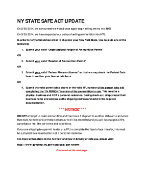 Fillable Online NY STATE SAFE ACT UPDATE Fax Email Print - pdfFiller