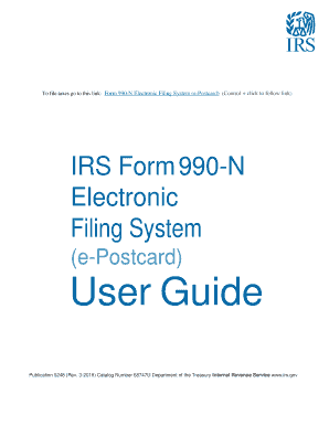 Fillable Online IRS Form 990-N Electronic Filing System Fax Email Print ...