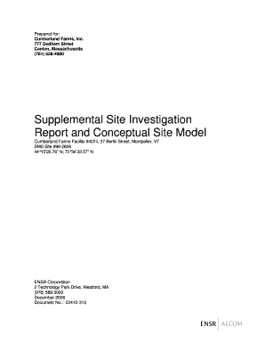 Fillable Online SSI Report.doc Fax Email Print - pdfFiller