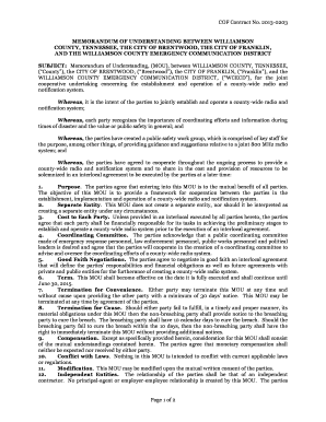 Fillable Online NETCOM LETTERHEAD Fax Email Print - pdfFiller