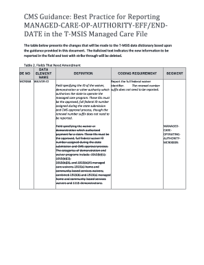 Fillable Online CMS Guidance: Reporting T-MSIS Eligible file record ...