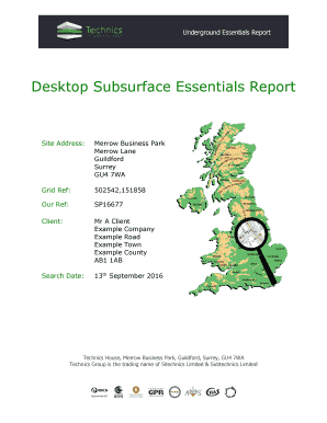 Fillable Online Example Desktop Survey Essentials Report - Technics ...