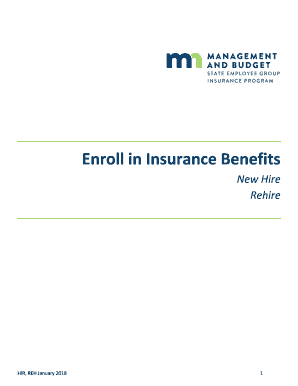 Fillable Online What is SEGIP? / State of Minnesota - Minnesota.gov Fax ...