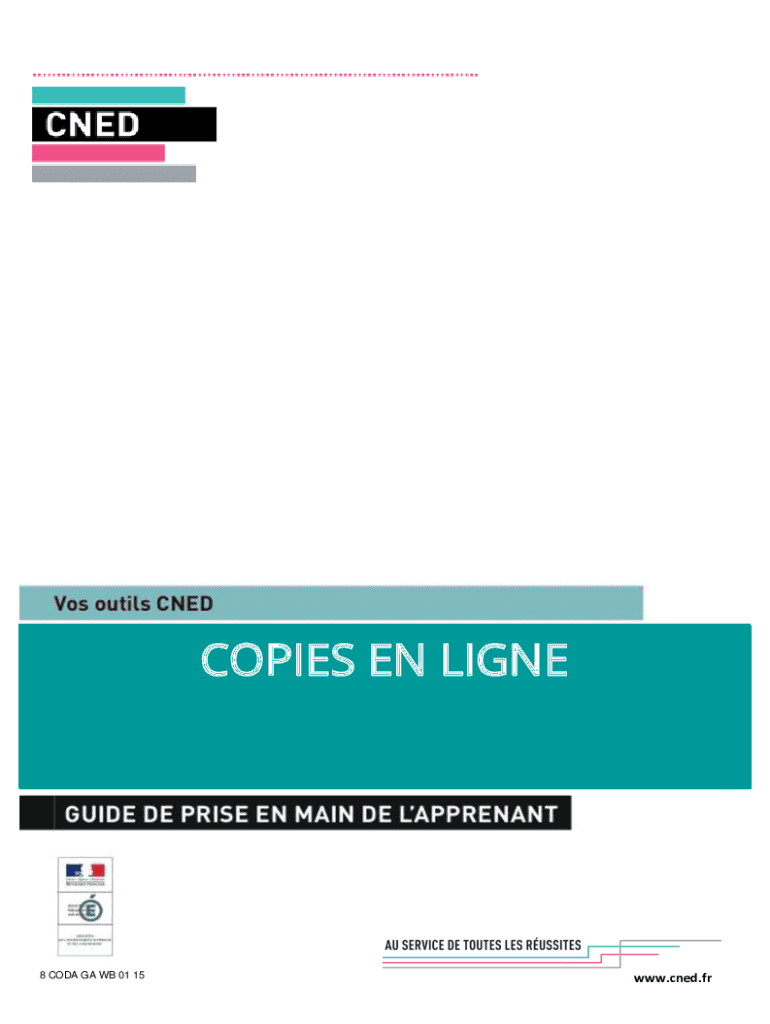 Remplissable En Ligne Vos outils CNED COPIES EN LIGNE GUIDE DE PRISE EN ...