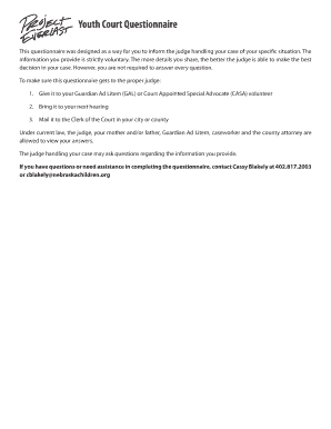 Fillable Online Youth Court Questionnaire Fax Email Print - pdfFiller