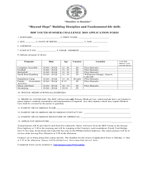 Fillable Online summer camp application form 1.pdf Fax Email Print - pdfFiller