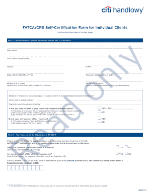 Fillable Online FATCA/CRS Self-Certification Form for Individual ...