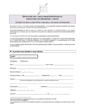 Demande De Carte Professionnelle - Remplir en ligne, Imprimé, Fillable ...