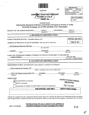 Fillable Online ANN AUDITED ORT WRga - SEC Report Fax Email Print ...