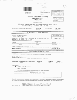 Fillable Online Form FOCUS Report LAMON & STERN, INC. X-17A-5 ... - SEC Report Fax Email Print ...