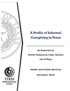 Fillable Online HHS Template for Reports, with Instructions Fax Email ...