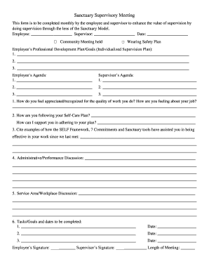Fillable Online Sanctuary Individual Supervision Form Fax Email Print ...