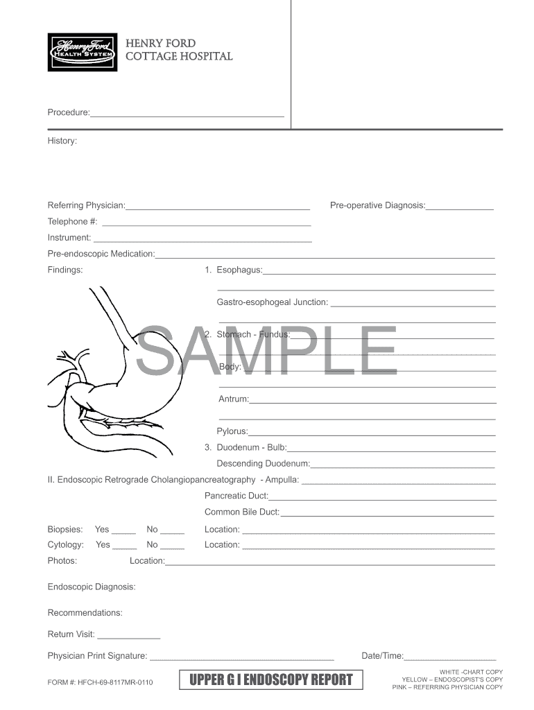 Endoscopy Report Fill Out Sign Online DocHub
