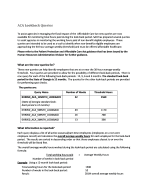 Fillable Online ACA Lookback Queries Fax Email Print - pdfFiller