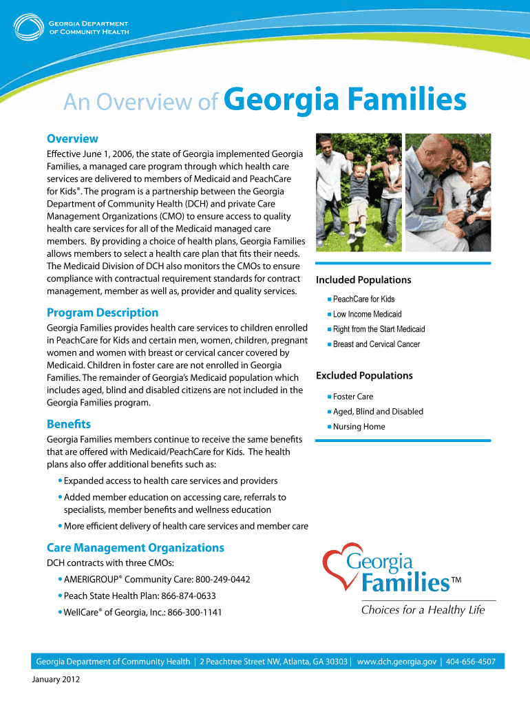 Fillable Online An Overview of Georgia Families Fax Email Print - pdfFiller