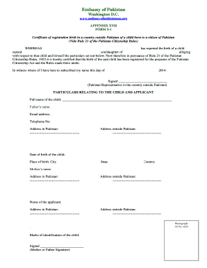 Fillable Online embassyofpakistanusa FORM S-1 PDF file - Embassy of ...