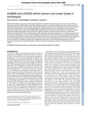 Fillable Online Mount PleasantFestival Foods Grocery Store Fax Email ...