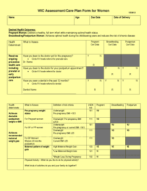 Fillable Online dhhs ne WIC Assessment/Care Plan Form for Women - dhhs ...