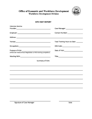 Fillable Online oewd WIA Site Visit Report Form - Office of Economic ...
