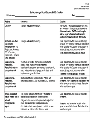 Fillable Online Self-Monitoring of Blood Glucose (SMBG) Care Plan Fax ...