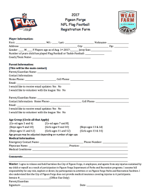 Fillable Online 2017 Pigeon Forge NFL Flag Football Registration Form ...