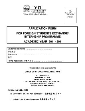 Fillable Online chennai vit ac Application Form for Foreign interns.doc ...