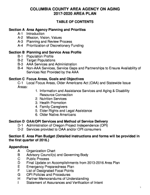 Fillable Online Attachment A - 2017-2020 area plan instructions for AAA ...