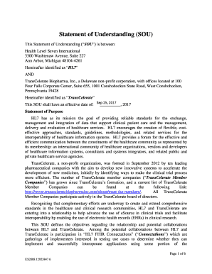 Fillable Online Statement of Understanding (SOU) - hl7.org Fax Email ...