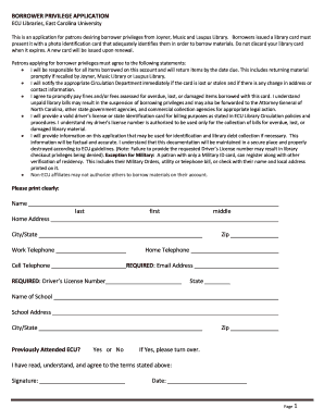 Fillable Online Borrower-Application-Form.doc Fax Email Print - pdfFiller
