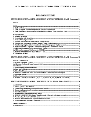 Fillable Online Call Report Form 5300 Instructions, Effective June 30 ...