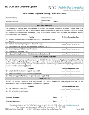 Fillable Online Images for what is itNJ DDD Self Directed Option Self ...