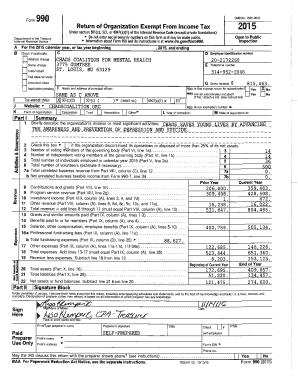 Fillable Online Tax Return - Final Fax Email Print - pdfFiller