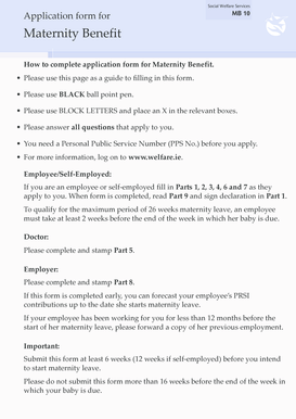 Fillable Online jamesosullivan Social Welfare Services Application form ...