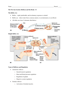 Fillable Online The Nervous System Reflexes and the Brain B Fax Email ...