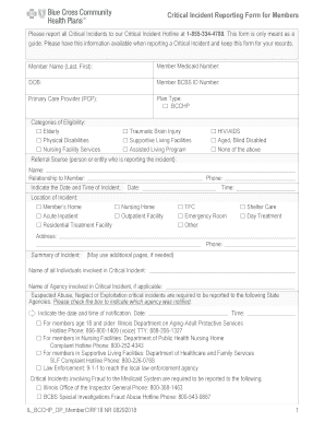 Fillable Online INCIDENT REPORTING FORM CRITICAL INCIDENTWithin one ... Fax Email Print - pdfFiller