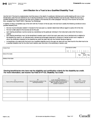 Fillable Online What is a Qualified Disability Trust?Siskinds Law Firm ...