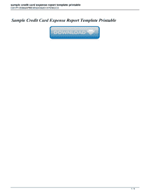Fillable Online Sample Credit Card Expense Report Template Printable ...