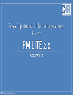 Fillable Online PM Lite Project Management Plan Template 1.0 - Texas ...