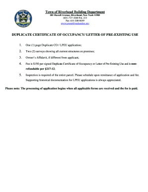 Fillable Online DUPLICATE CERTIFICATE OF OCCUPANCY/ LETTER OF PRE ...