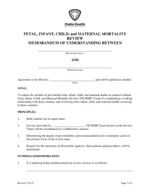 Fillable Online dphhs mt Fetal Infant Child and Maternal Mortality ...