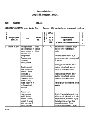 General Risk Assessment 2017 Doc Template | pdfFiller