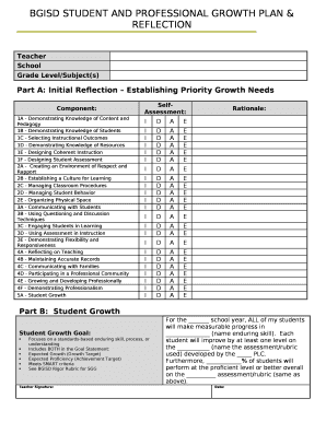 PGP with Reflection Template - Bowling Green Independent ... Doc ...