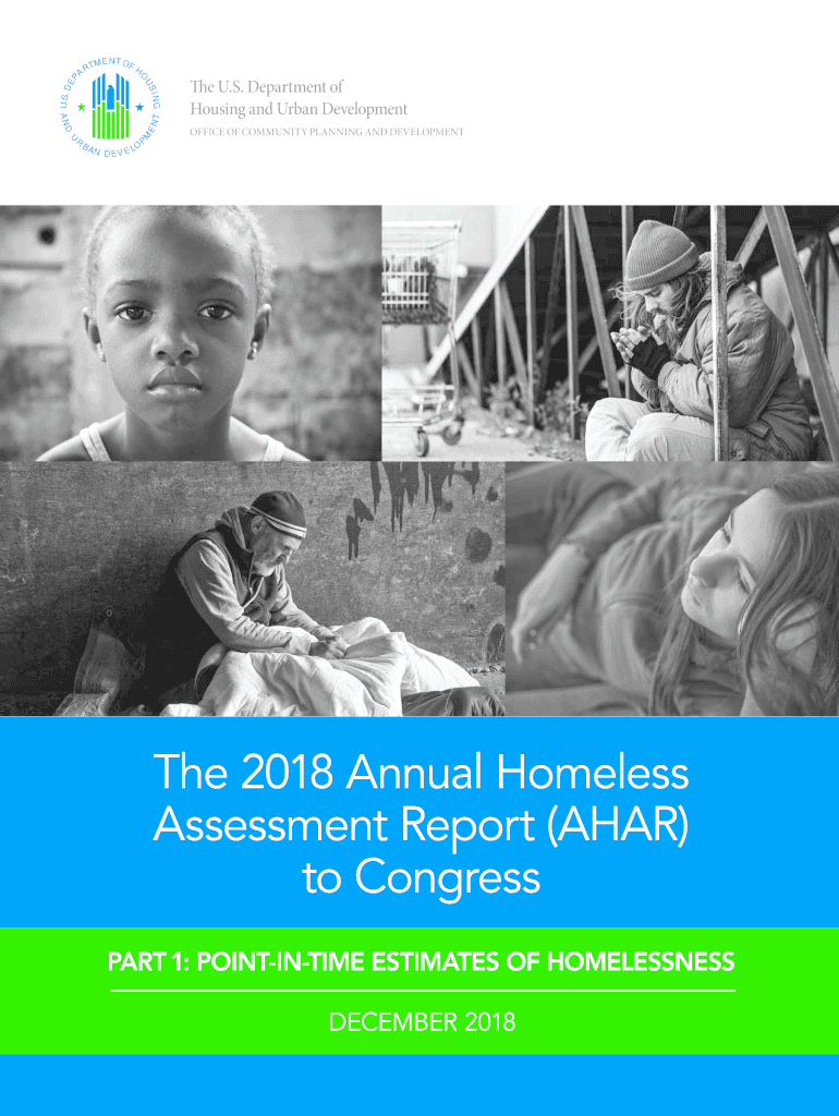 Fillable Online The 2018 Annual Homeless Assessment Report (AHAR) to ...
