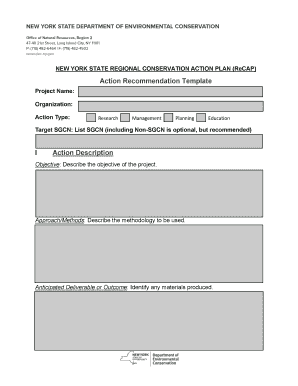 Fillable Online ReCAP Action Recommendation Template form Fax Email ...